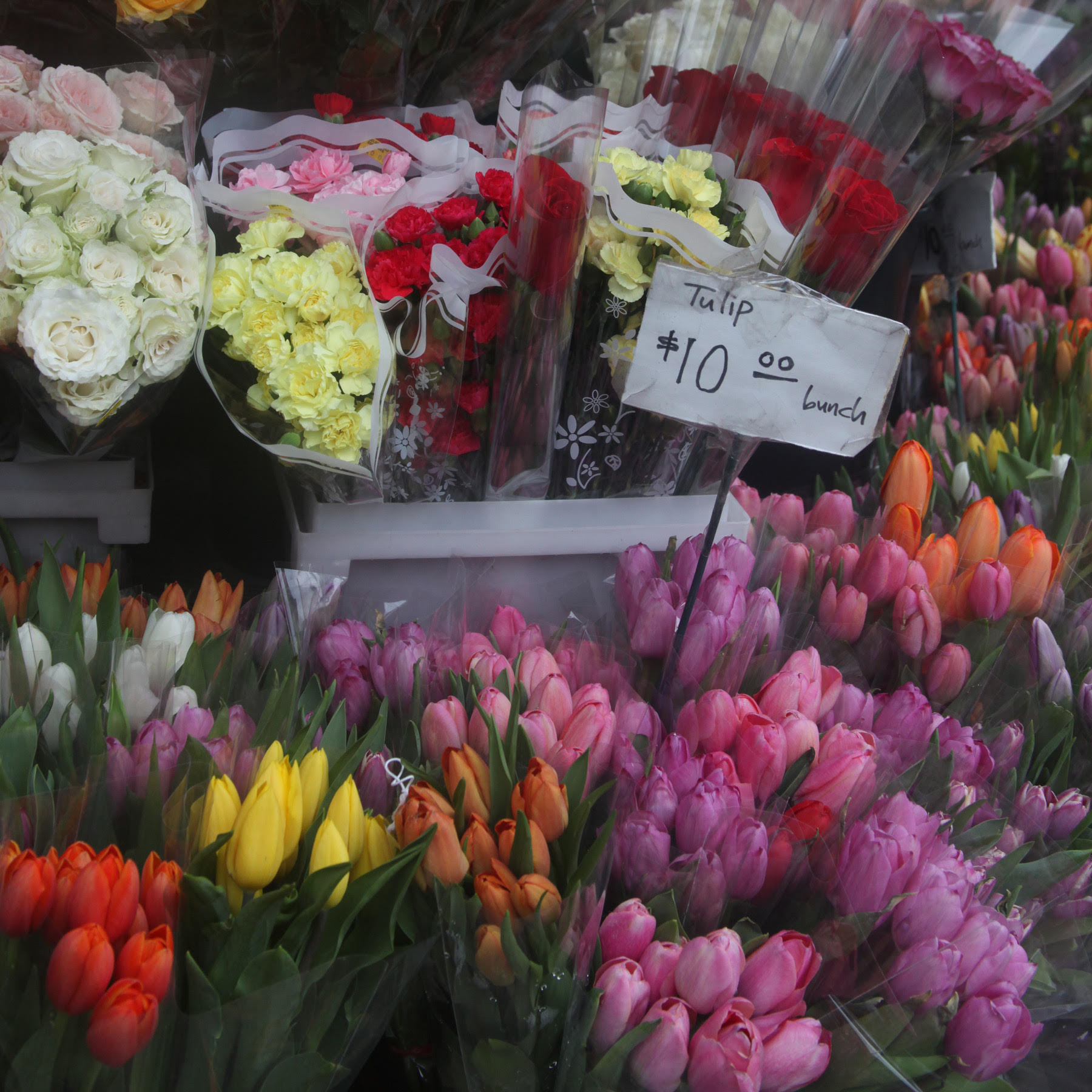 This Week in Brooklyn – Wave Therapeutics